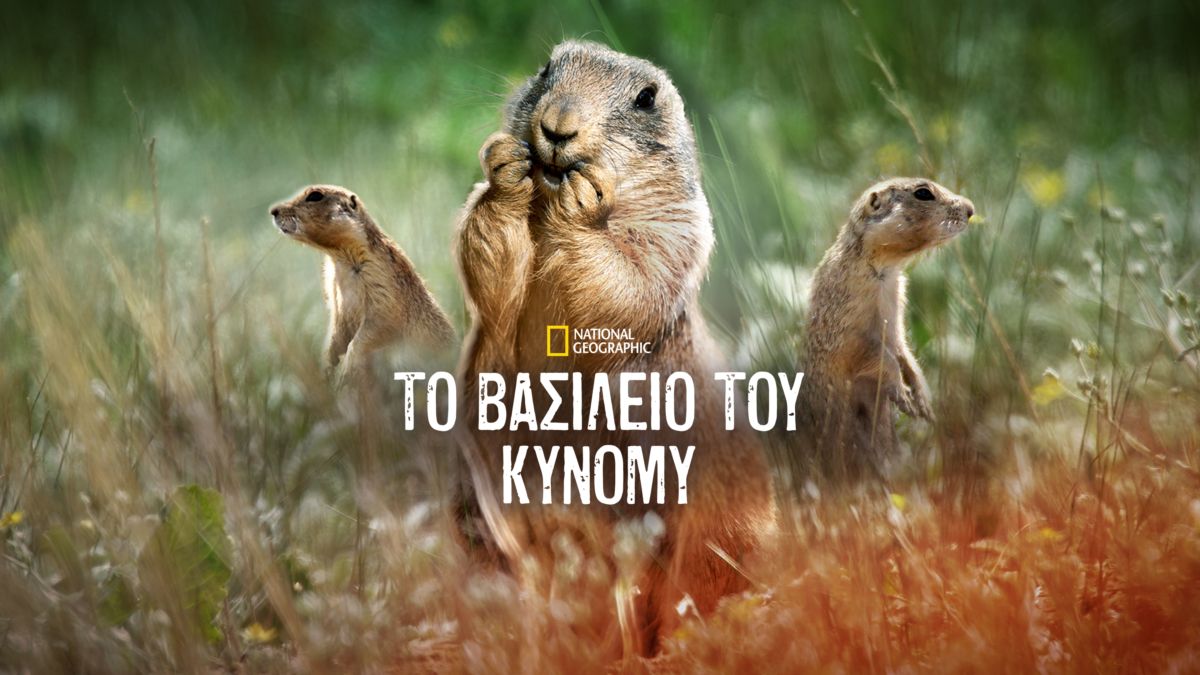 Δείτε το «Το Βασίλειο του Κυνόμυ» | Disney+