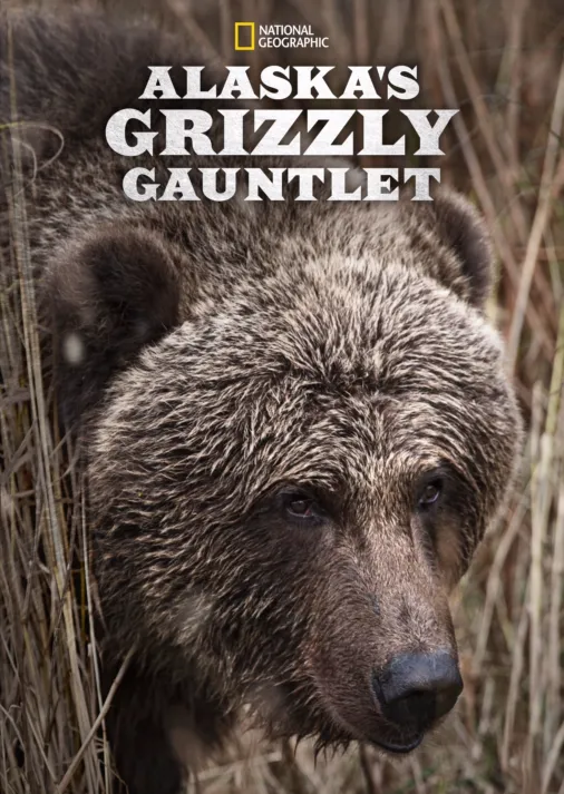 Kijk de volledige afleveringen van Alaska's Grizzly Gauntlet | Disney+