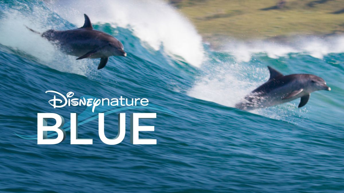 Disneynature : Blue | Disney+
