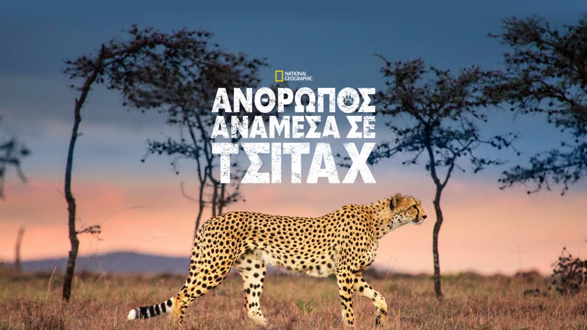 Δείτε το «Άνθρωπος ανάμεσα σε τσιτάχ» | Ολόκληρη η ταινία | Disney+
