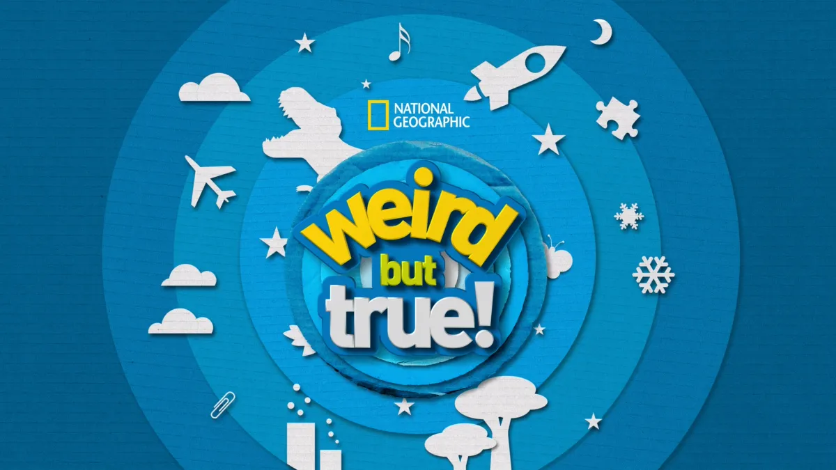 Watch Weird But True! | Disney+