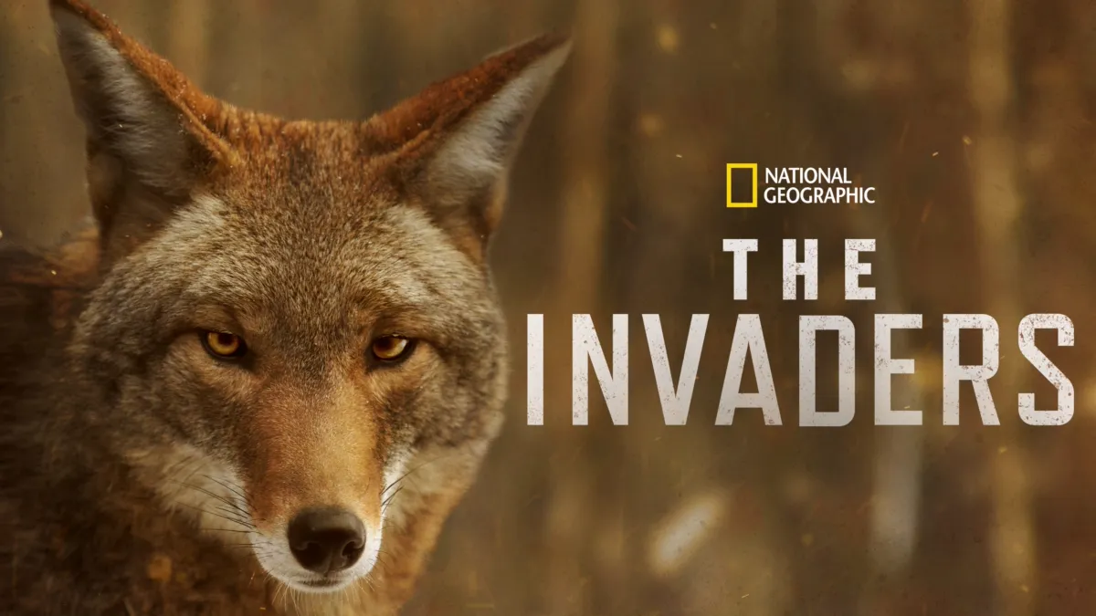 Watch Invaders, The | Disney+