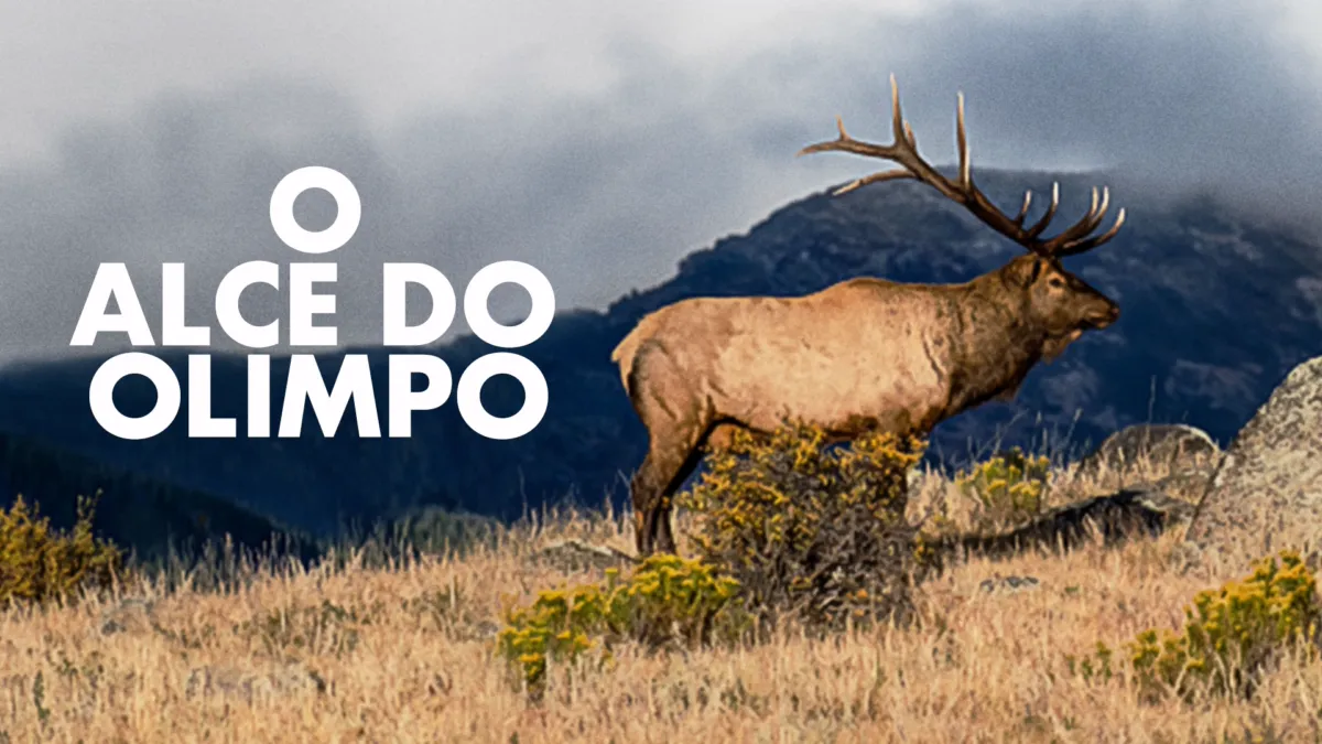 Ver O Alce do Olimpo | Disney+