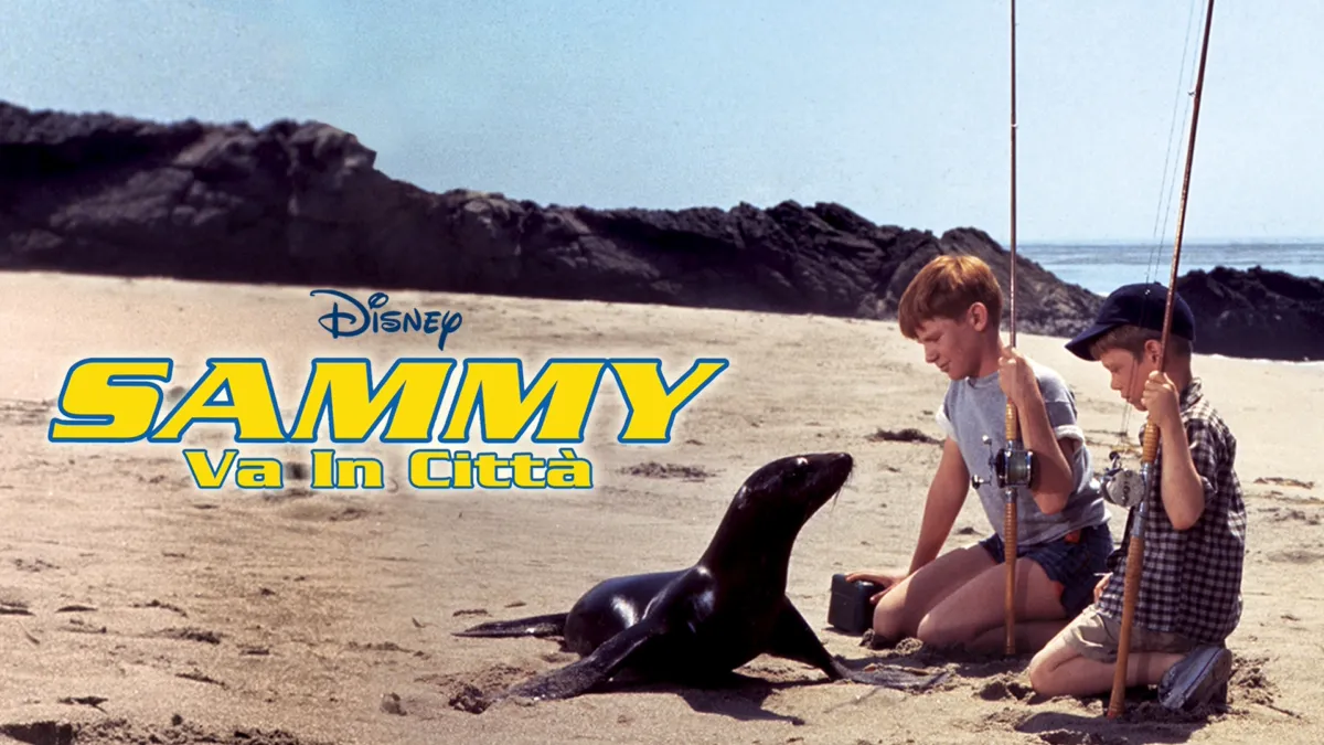 Guarda SAMMY VA IN CITTÀ | Disney+