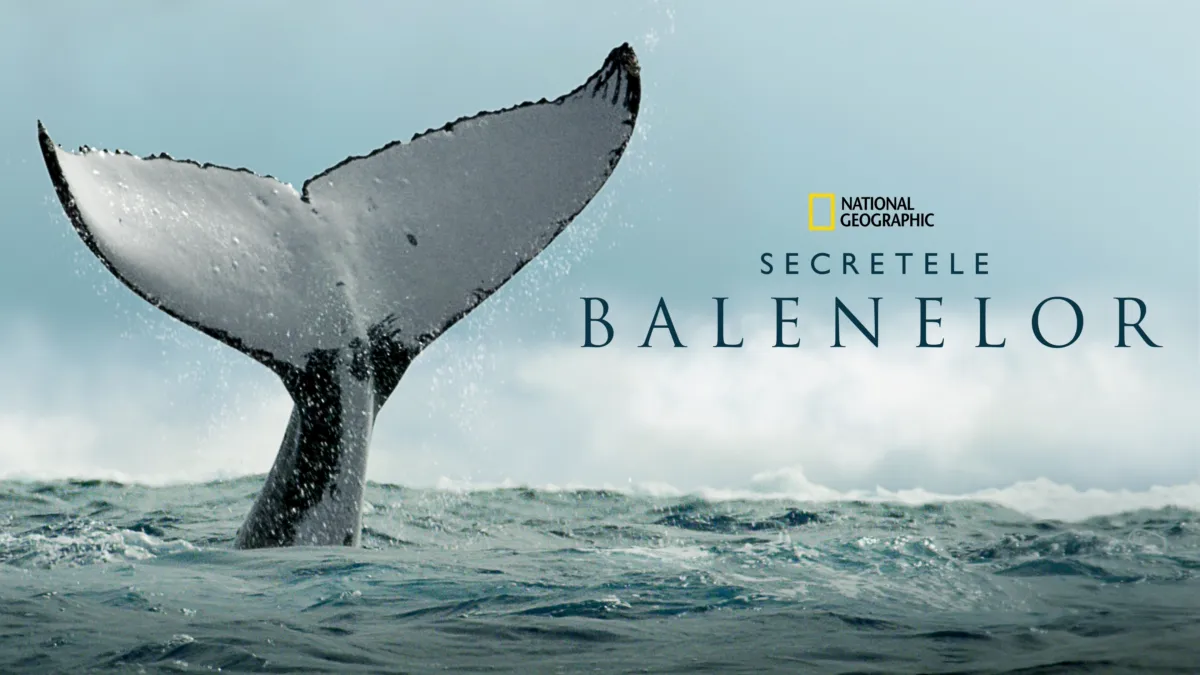 Vizionează Secretele Balenelor | Disney+