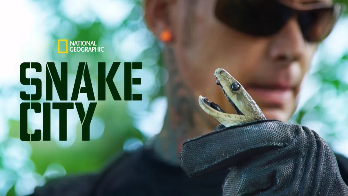 Regarder Snake City | Épisodes complets | Disney+