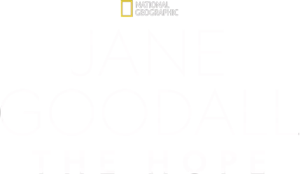 Watch Jane Goodall: The Hope | Disney+