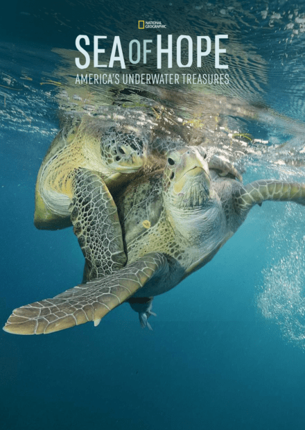 Films Disney+ Sea of Hope: America's Underwater Treasures Films Disney+ Sea of Hope: America's Underwater Treasures