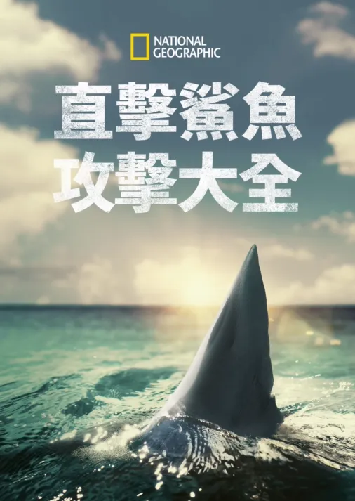 觀看When Sharks Attack 360 | Disney+