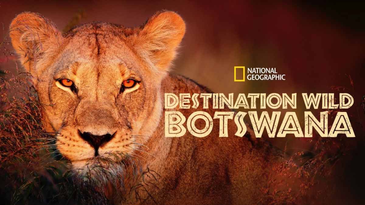 Destination Wild: Botswana | Disney+