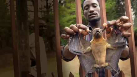 Regarder Same as above | Épisodes complets | Disney+